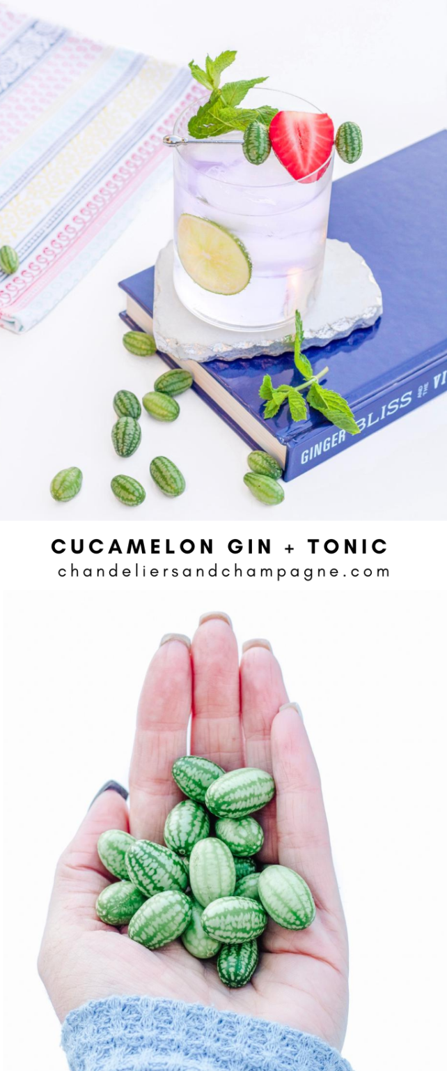 Cucamelon Gin and Tonic Recipe • Chandeliers and Champagne