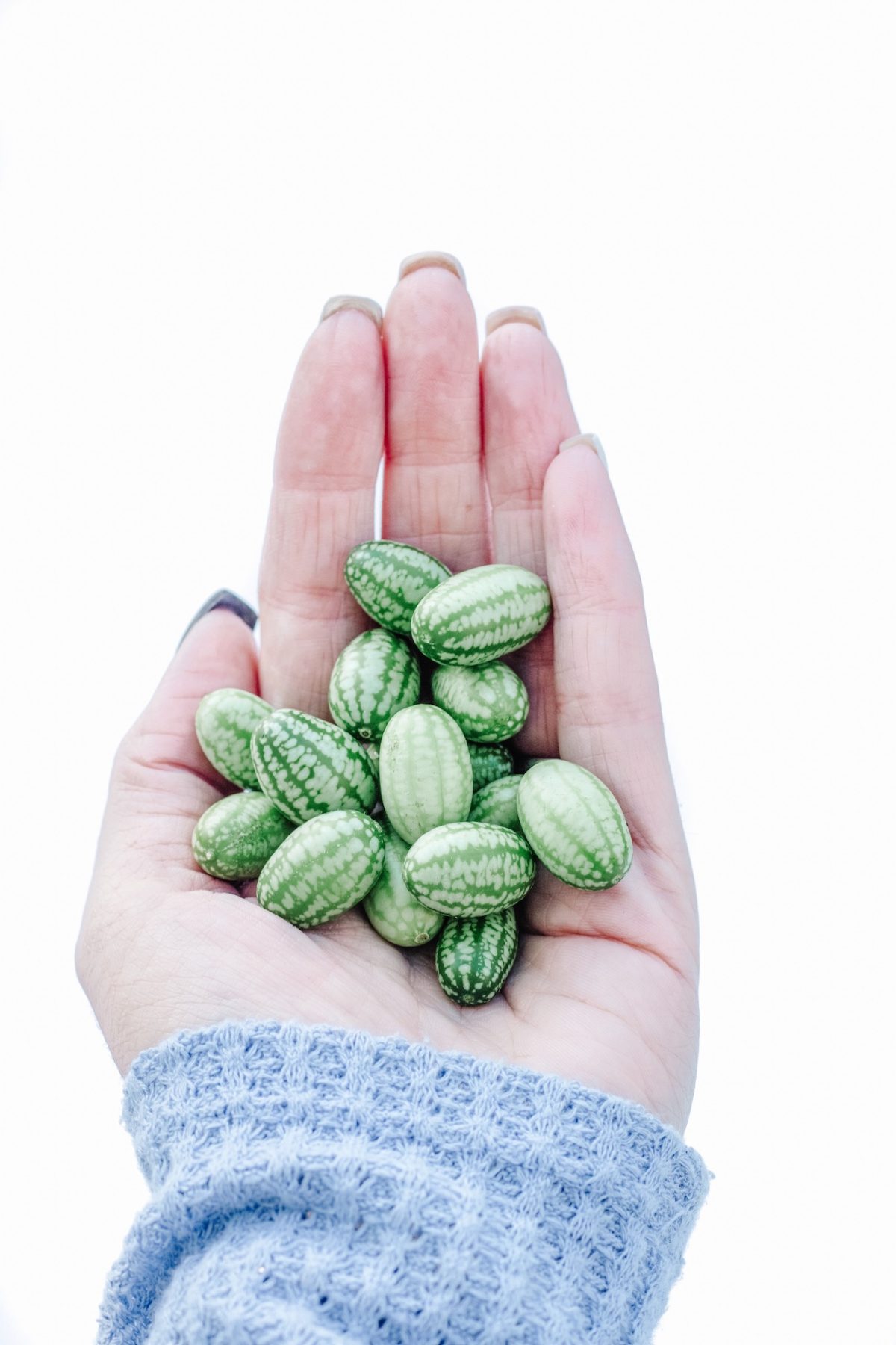 Cucamelon Gin and Tonic Recipe • Chandeliers and Champagne
